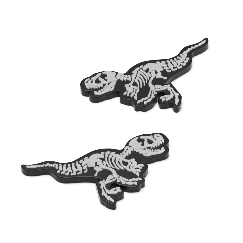 T Rex Accessories For T Rex Fossil Slide Hello Slippers